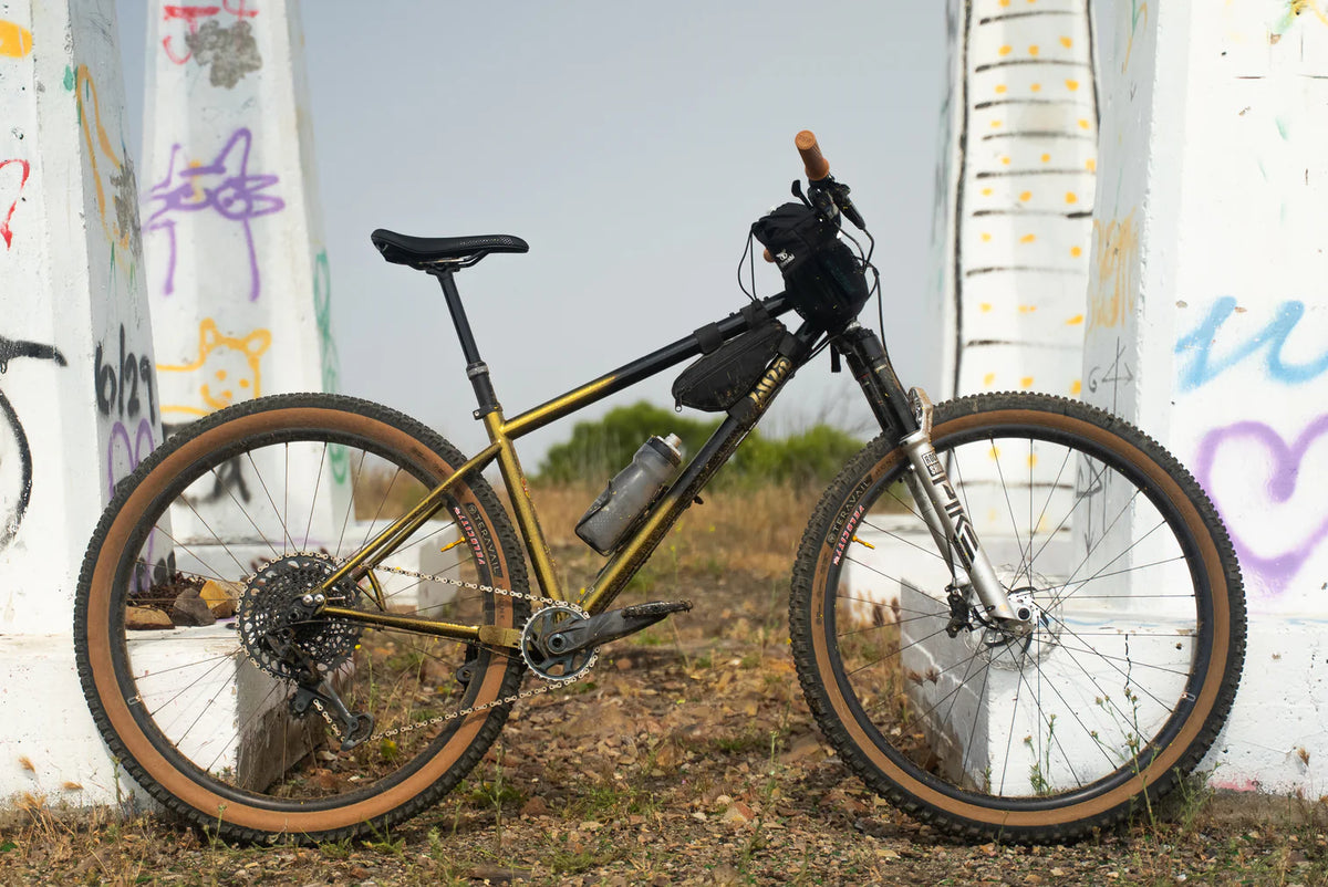 Wilde Dark Star - MTB Hardtail (Frame Only) – Simple Bike Store