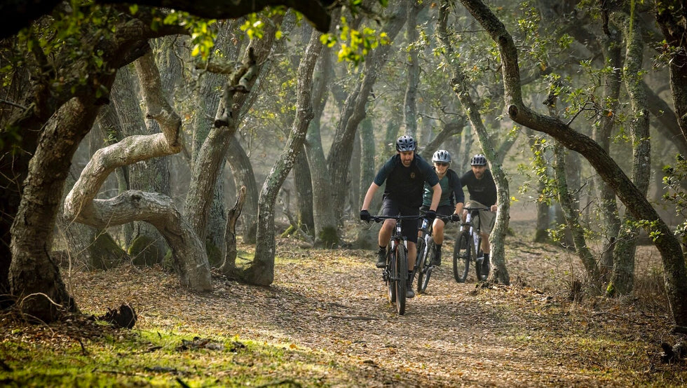 Simple Bike Store | Your Favourite Bike Store